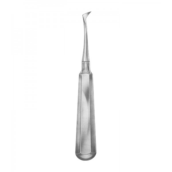 Explore Root Elevators Selection